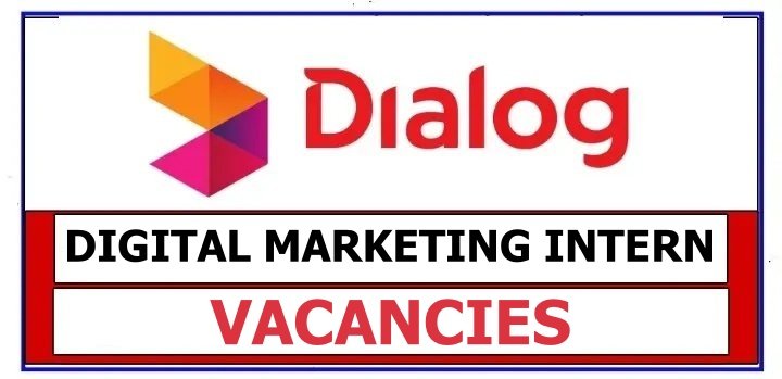 Digital Marketing intern -Dialog network services Vacancies 2023 ...