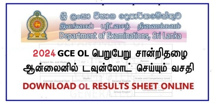 How to Download GCE OLevel 2024 Results Sheet online?? - Ceylon Vacancy