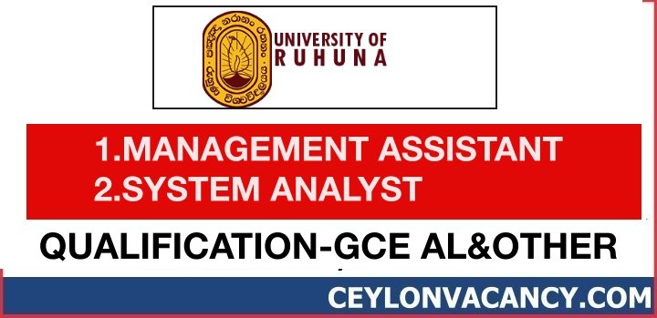 MANAGEMENT ASSISTANT- UNIVERSITY OF RUHUNA 2024 - Ceylon Vacancy