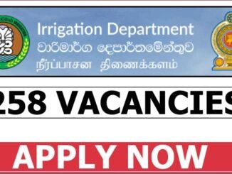 Admission Card Download - RDB Banking assistant open exam 2025 - Ceylon Vacancy