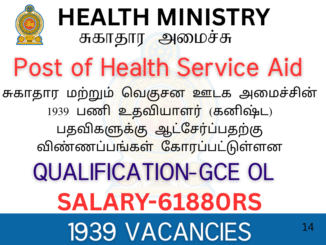 Health Service Aid (Junior) Job Vacancies - Ministry of Health 2026 ...